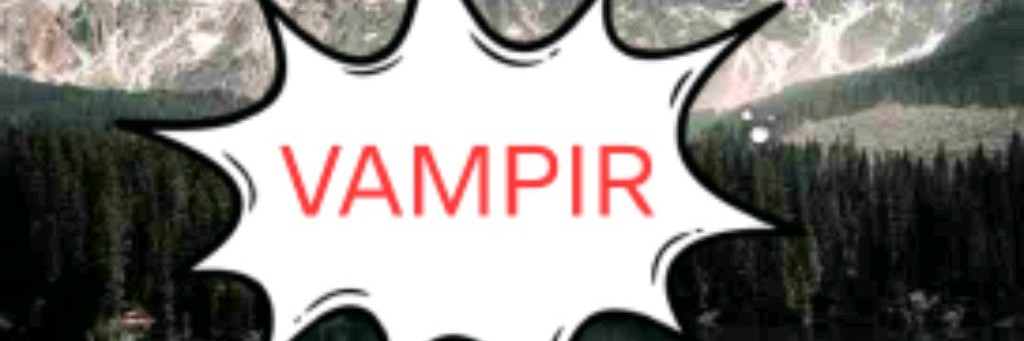 VAMPIR
