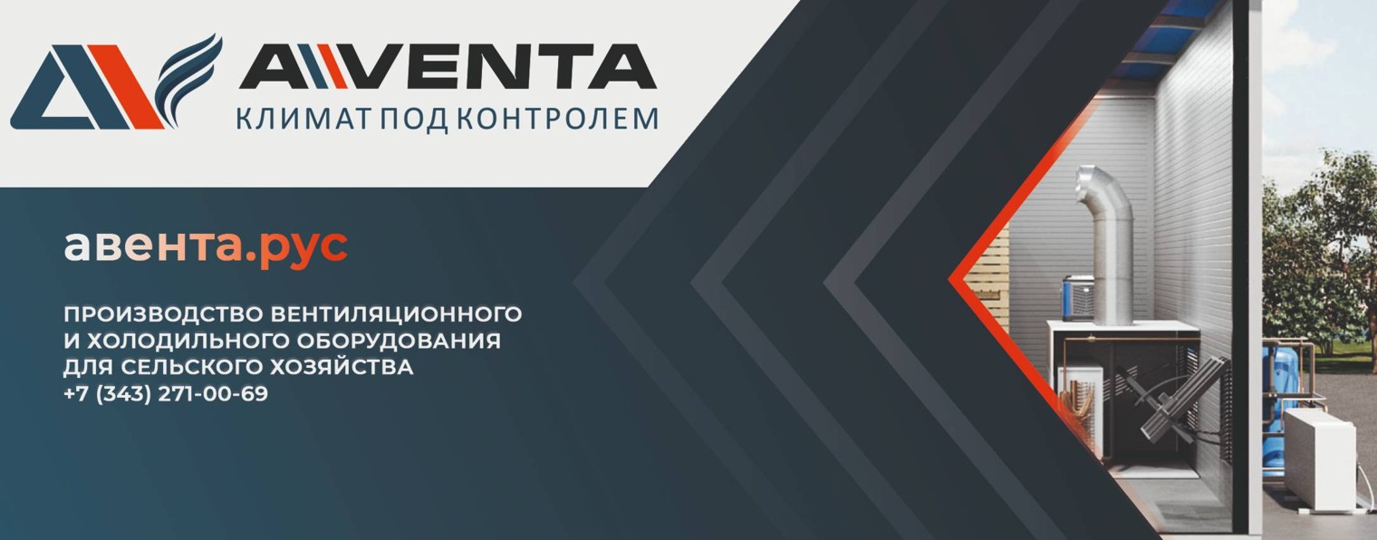 Авента