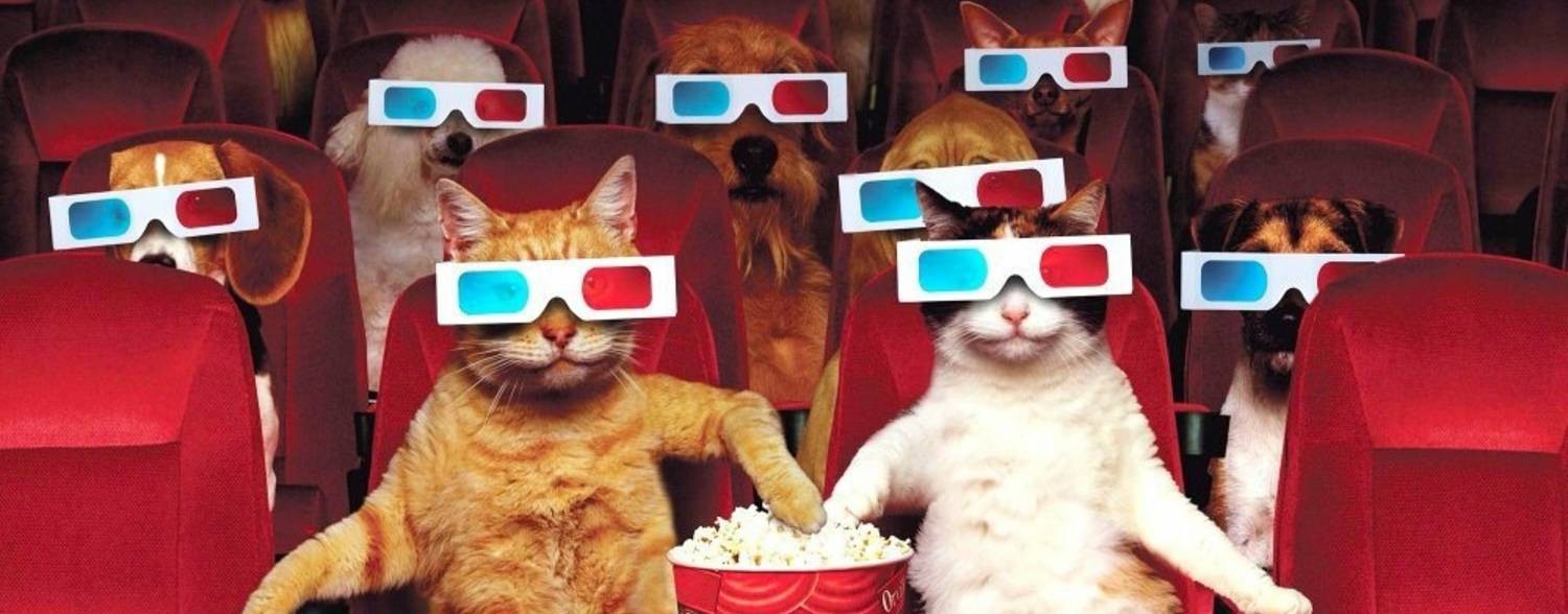 Андрианов Сергей