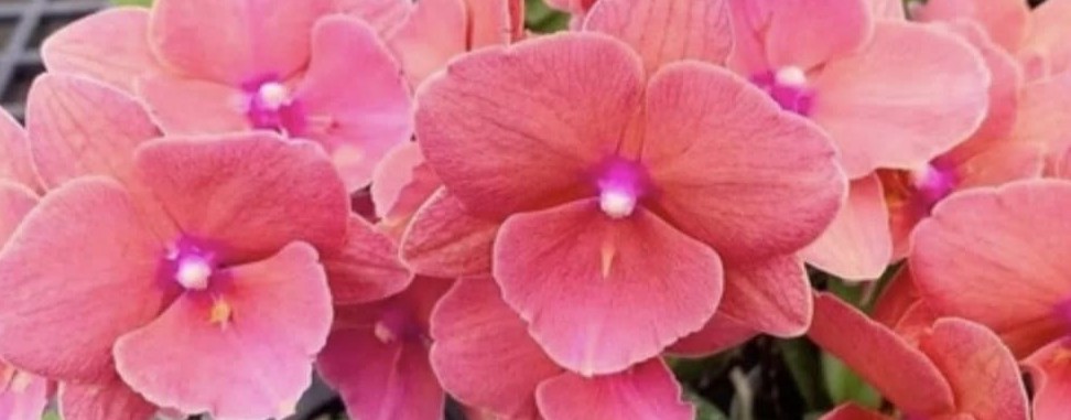 Я и мой мир Во Круг Меня