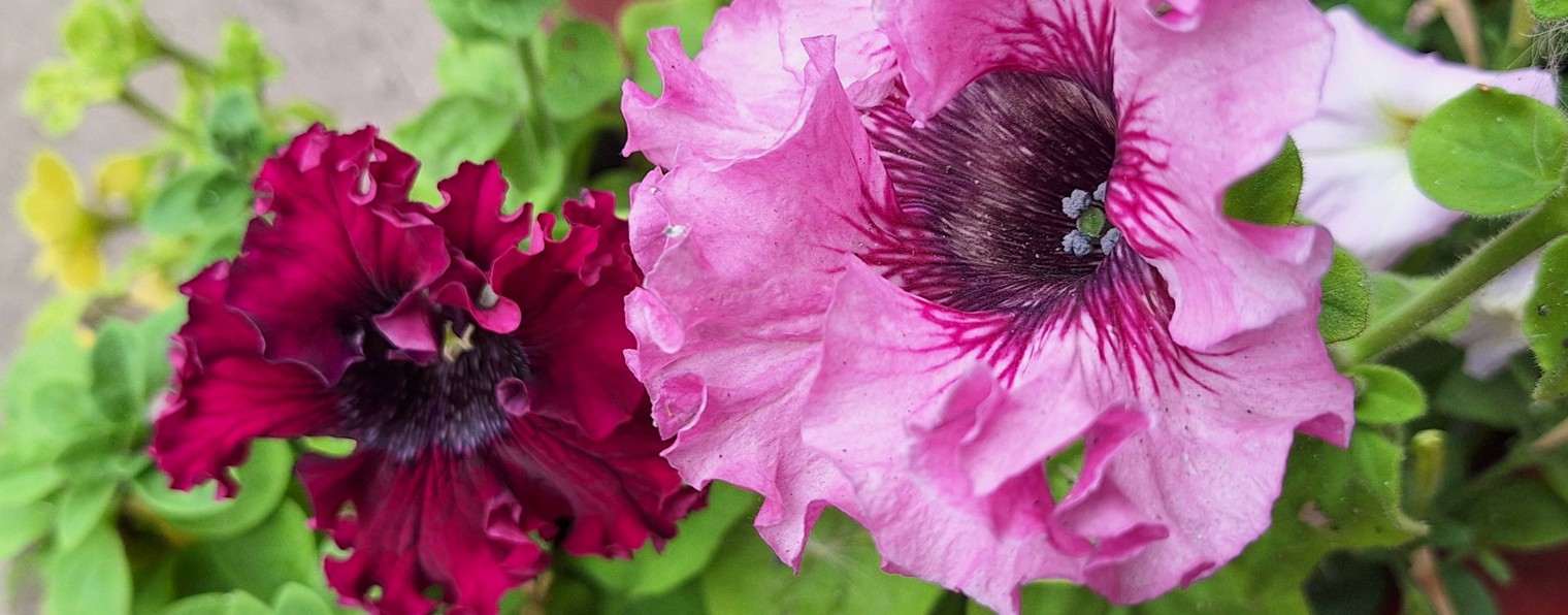 Скучно не бывает