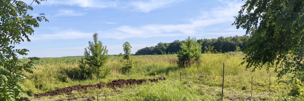 Строим без опыта