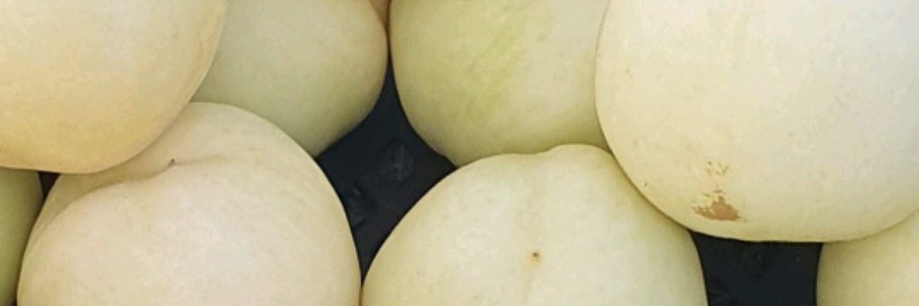 МИР САДОВОДА