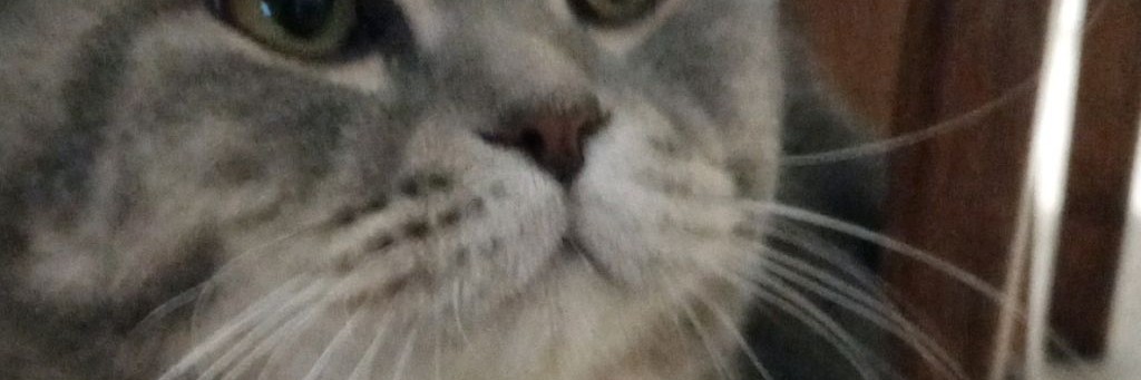 ♡Apollinaria⁠♡