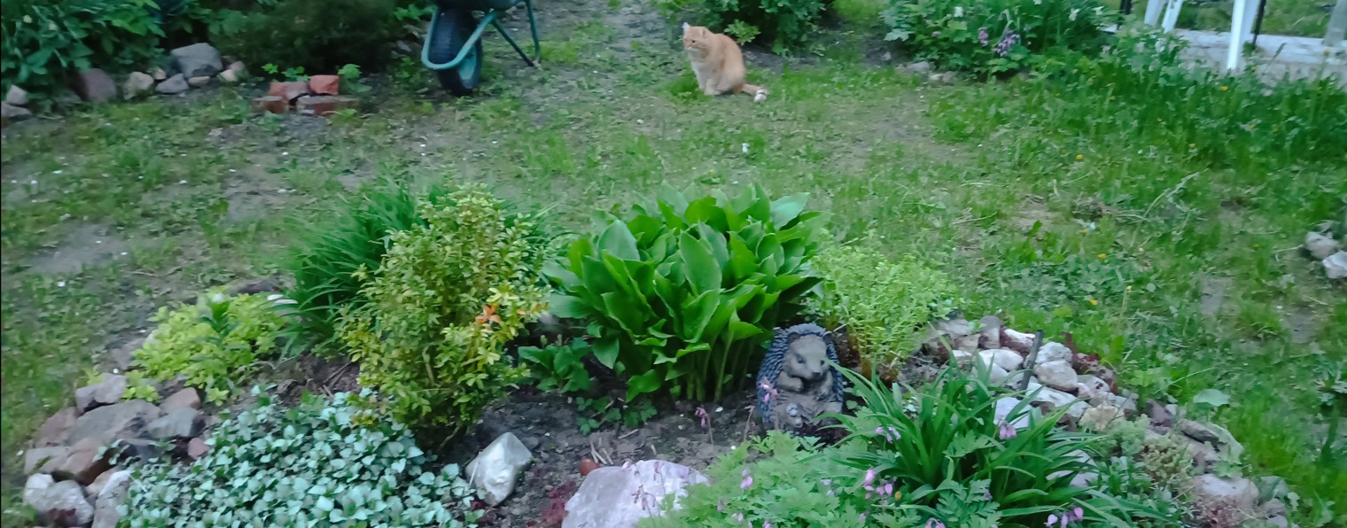 В гостях у Светланы, деревенские будни