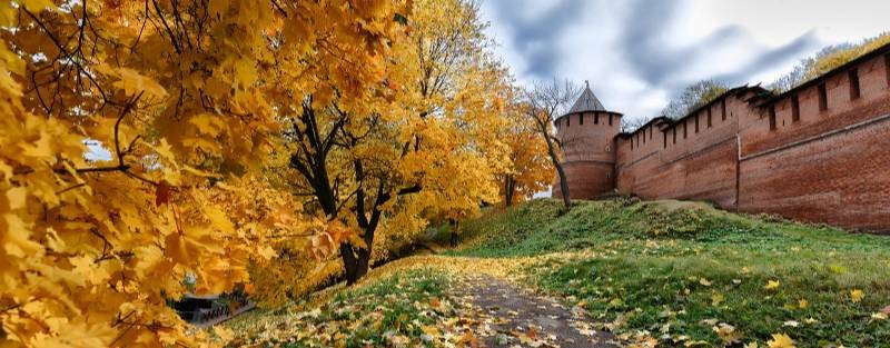 Татьяна Шутяева