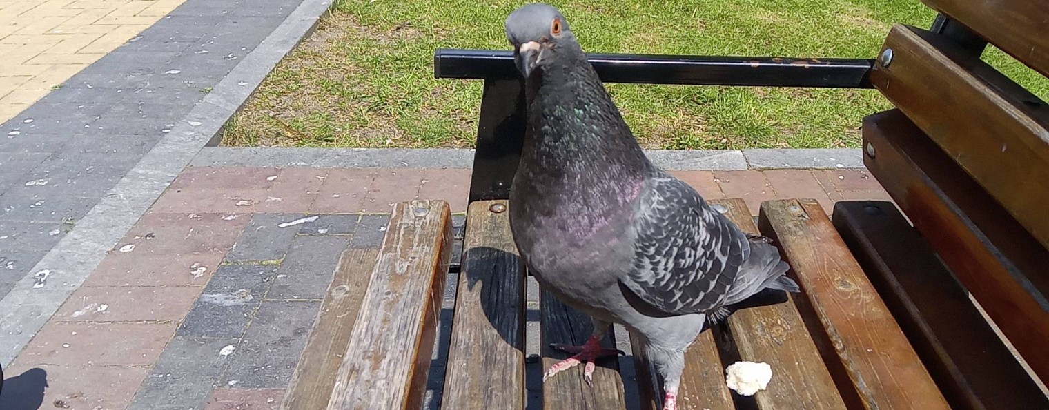 Людмила Соколова