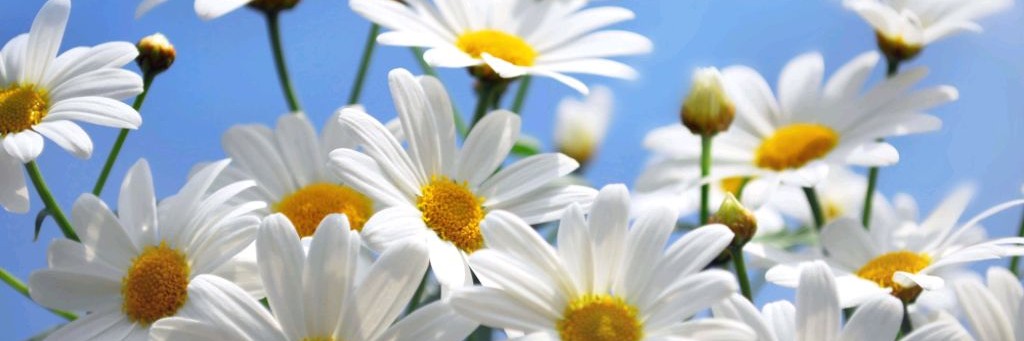 Осознанный Путь