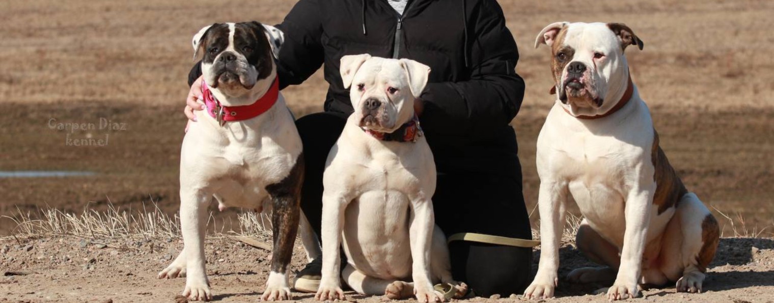 Carpen Diaz Kennel