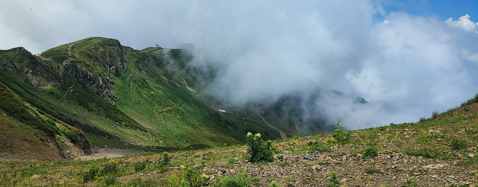 It's my life 🌴☀️🐟🦋🏔️🥗