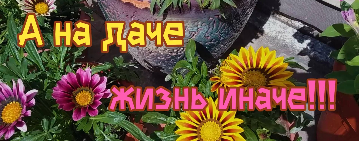 А на даче жизнь иначе!