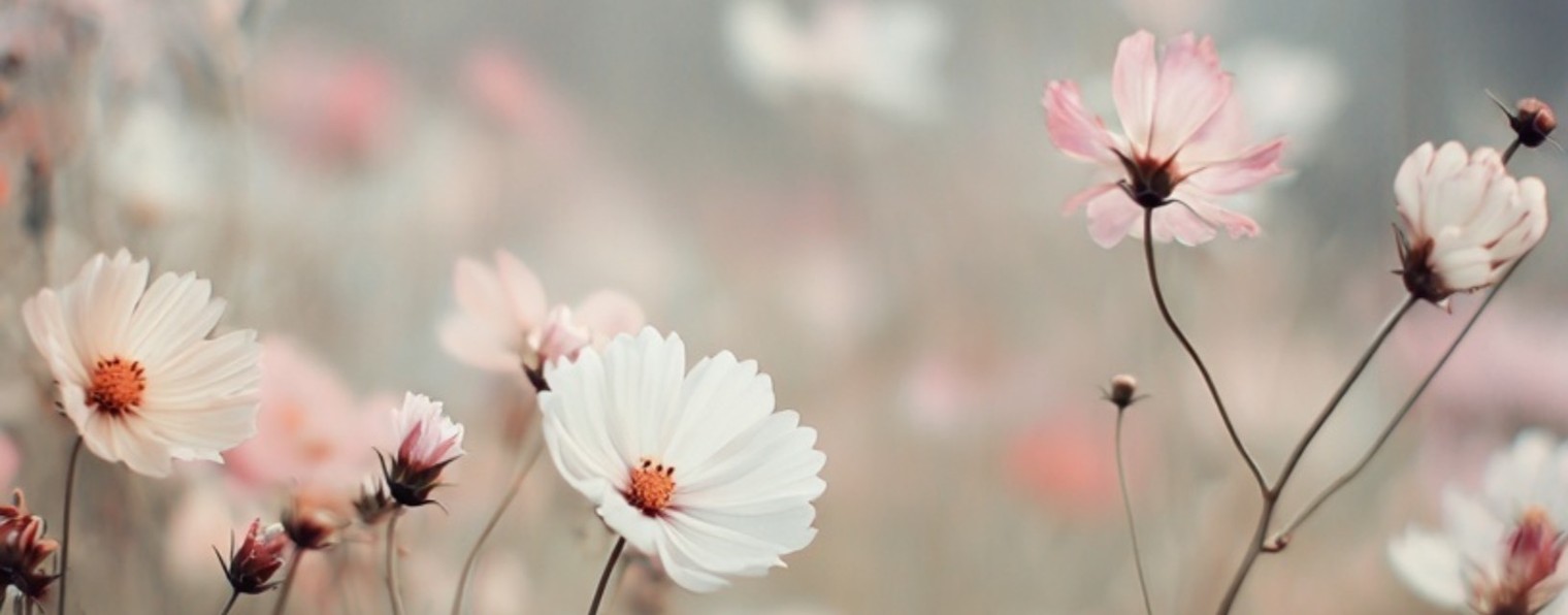 Анна Леонова