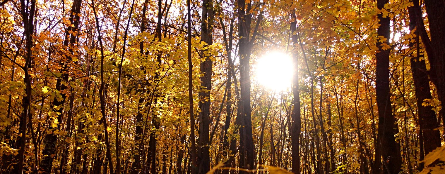 А вы знали, что в Воронеже