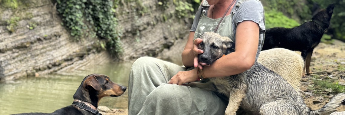 #Бульдогоман, #Зооволонтер, #Татьяна Панкратова