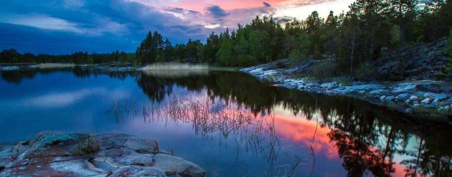 Рыжая дымка