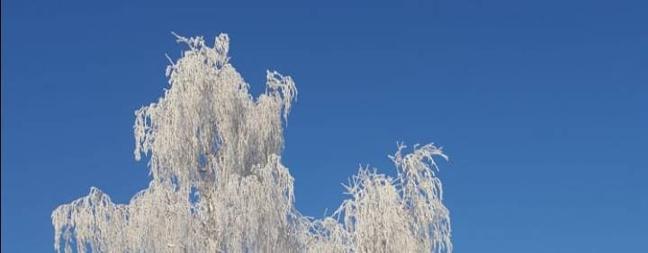 Присутствие духа