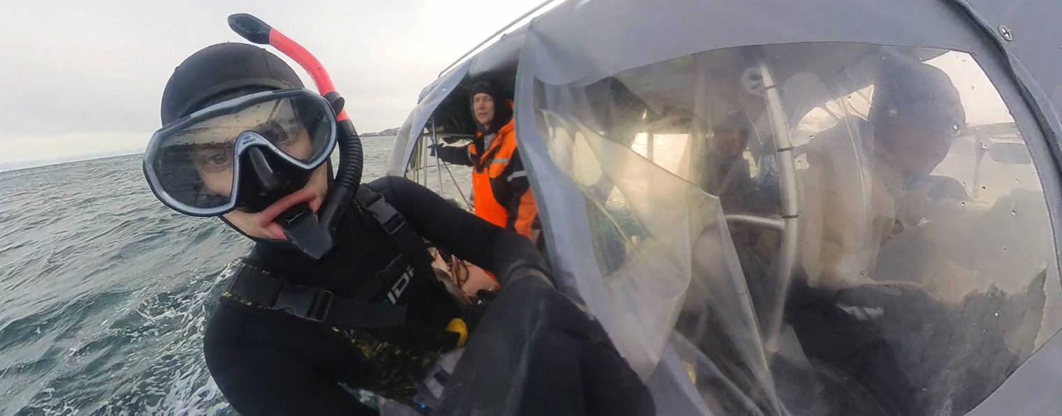 Выходные Казанца