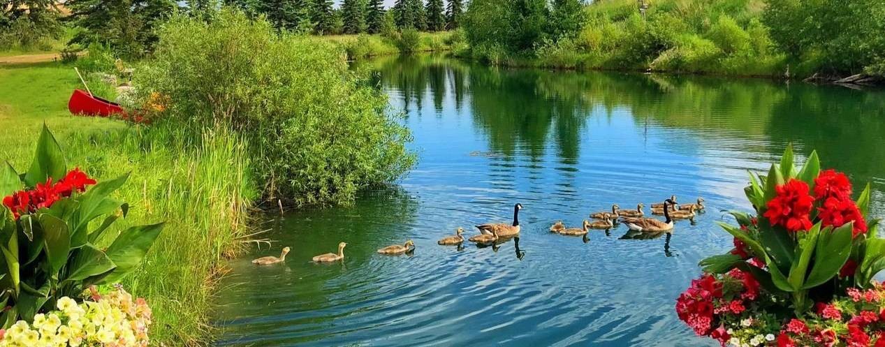 В гостях у дедушки