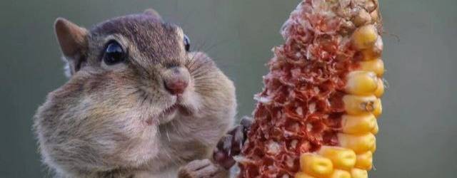 Рецепты на каждый день