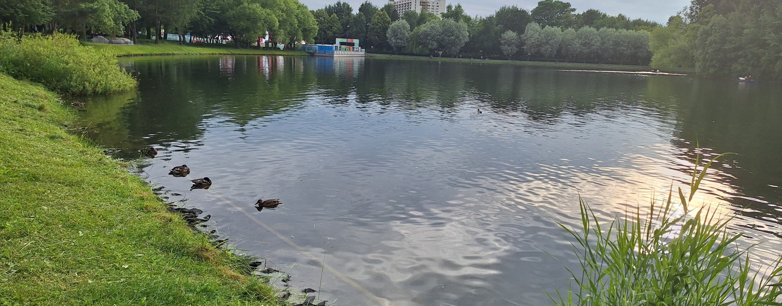 Телеканал ПРИКОЛЫ