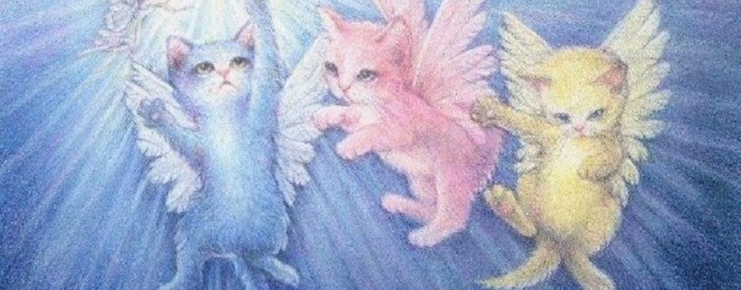 пространство вариантов