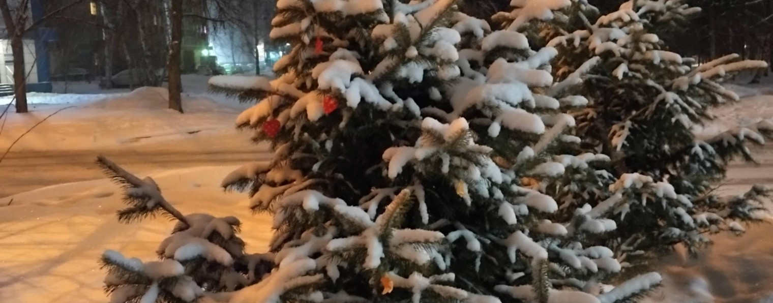 Русские народные сказки