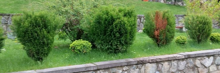 Ближе к природе