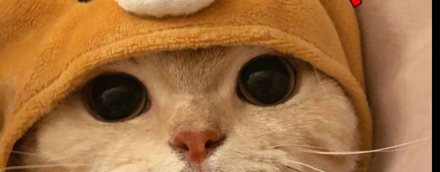 Сонька 🎀😘💖