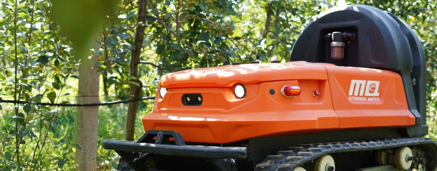 ДАР (Дом аграрных решений)