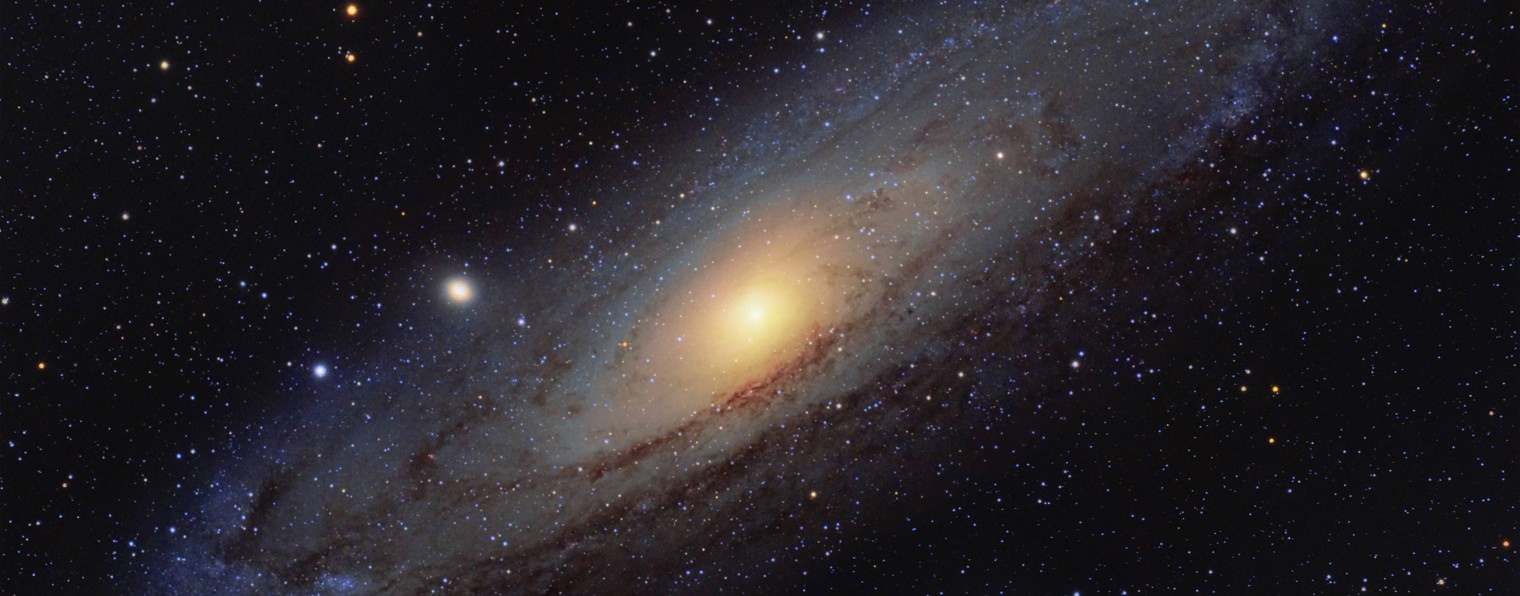 Школа Альтернативы