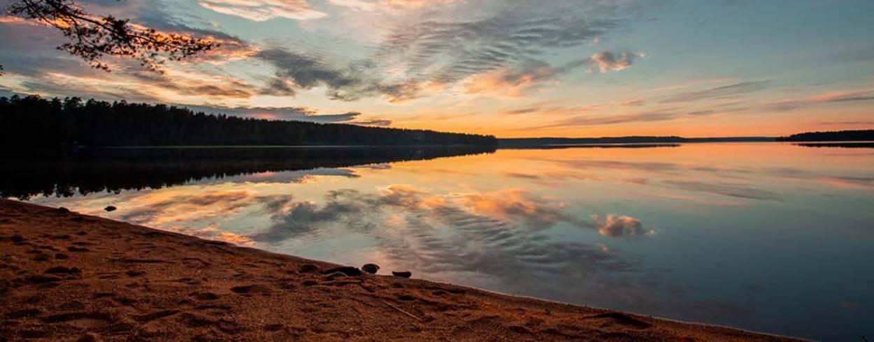 Алексей Фурса