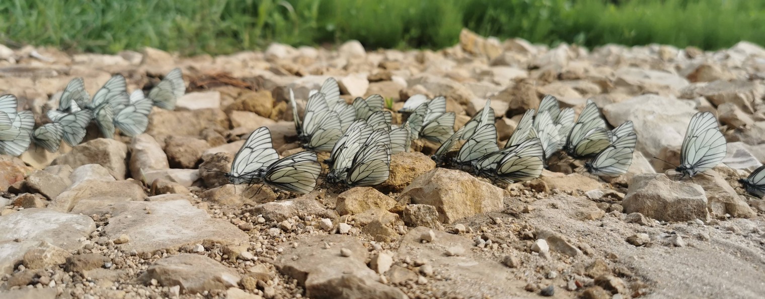 Внутри | Снаружи