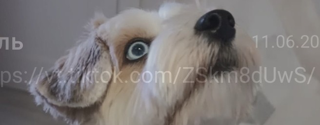 Аймбел и эмбл