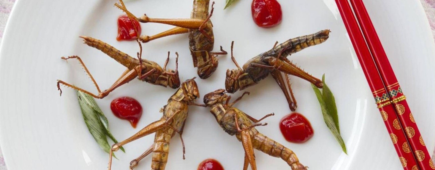 БЛЮДА НАРОДОВ МИРА