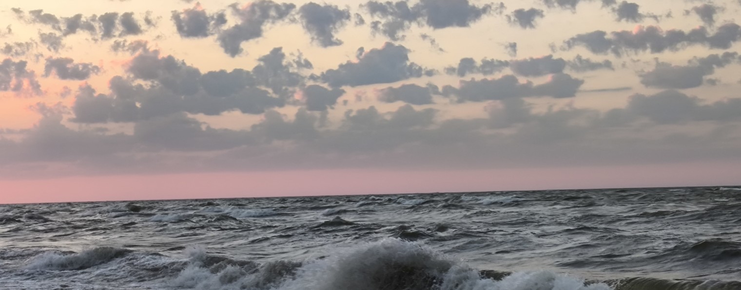 Саша Кушпетюк