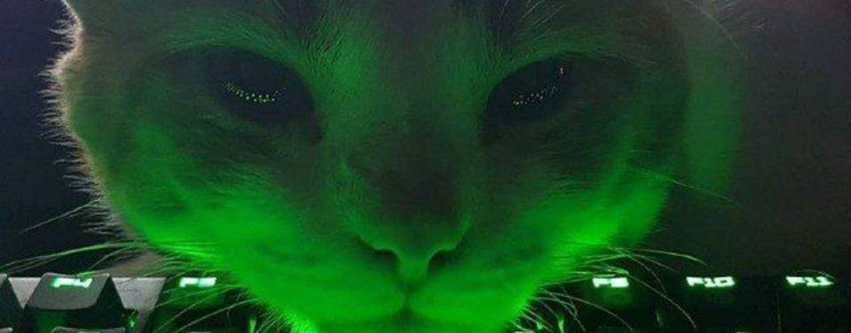 крутой сигма