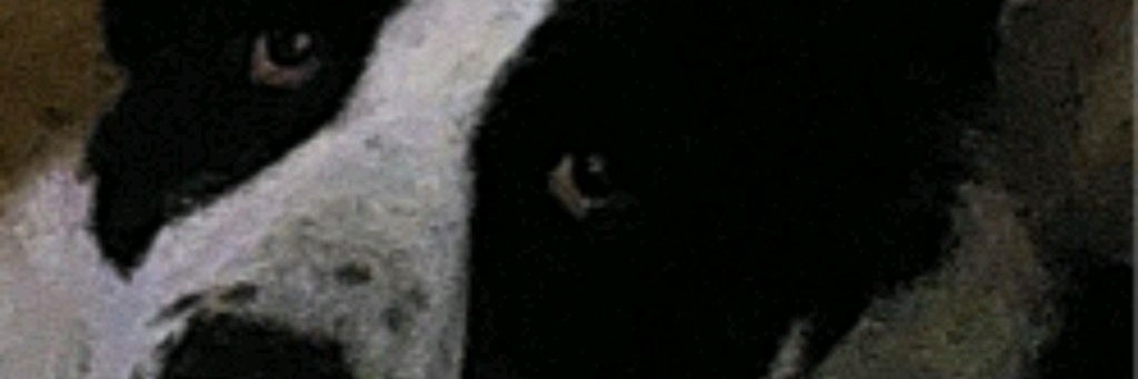 Алабай Балу.