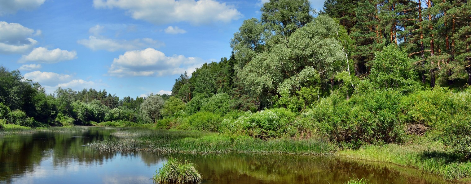 Анатолий Платонов