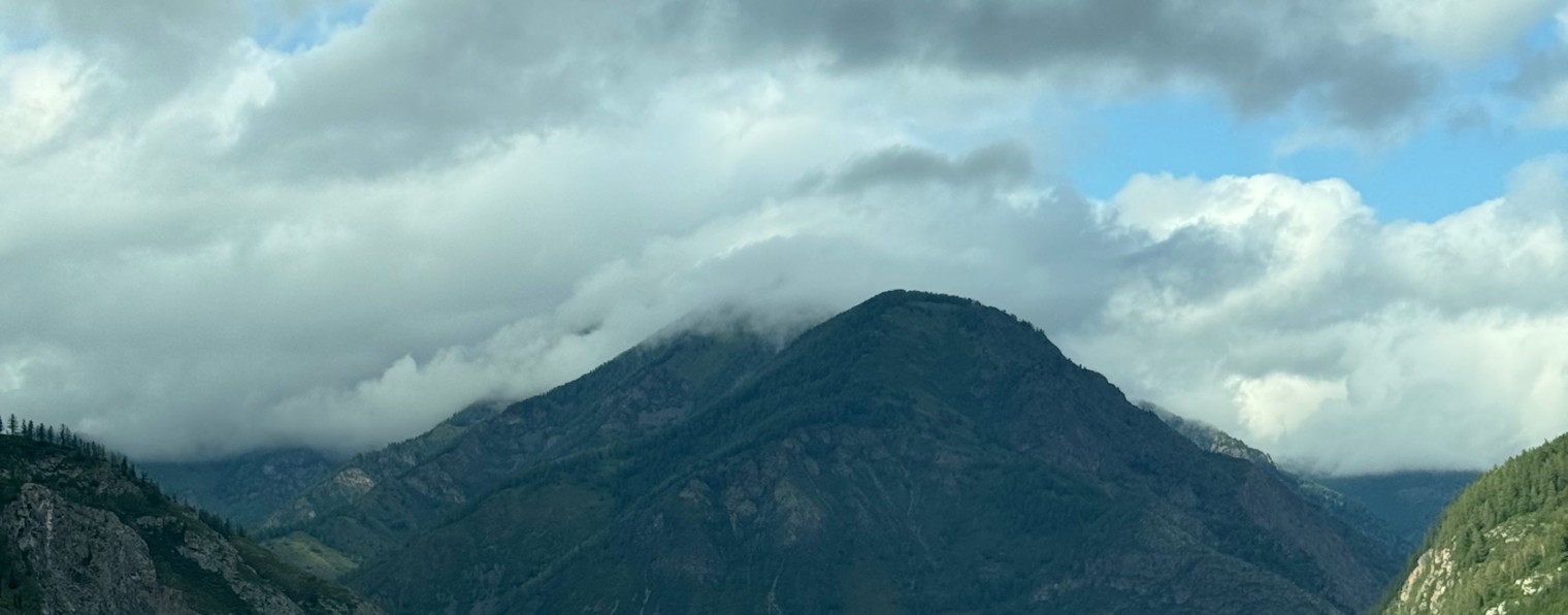 Вальберг Максим