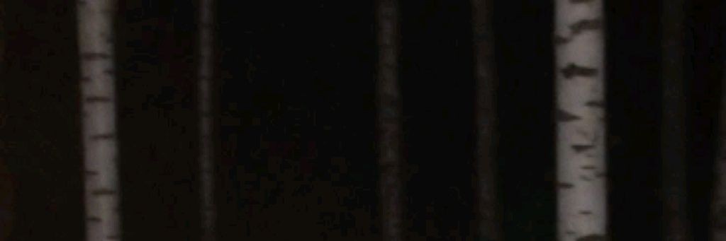 Зона X: Территория страха