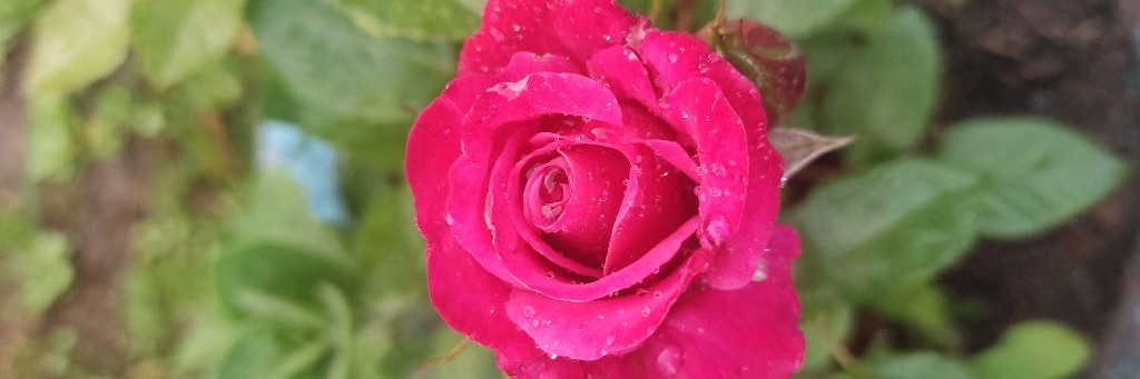 История И ЖИЗНЬ -Ка,Моя Семья🤗🌞, Многодетная Мам