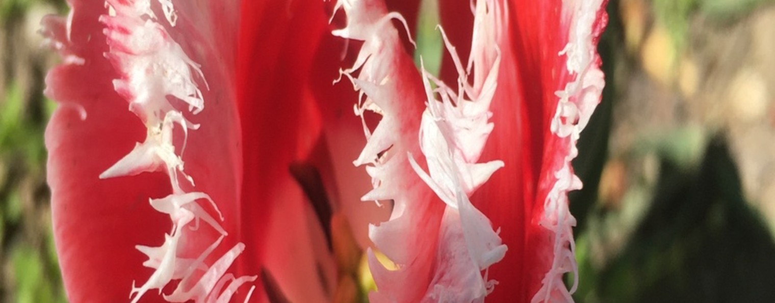 Надежда Сити Город Мечты ❄️