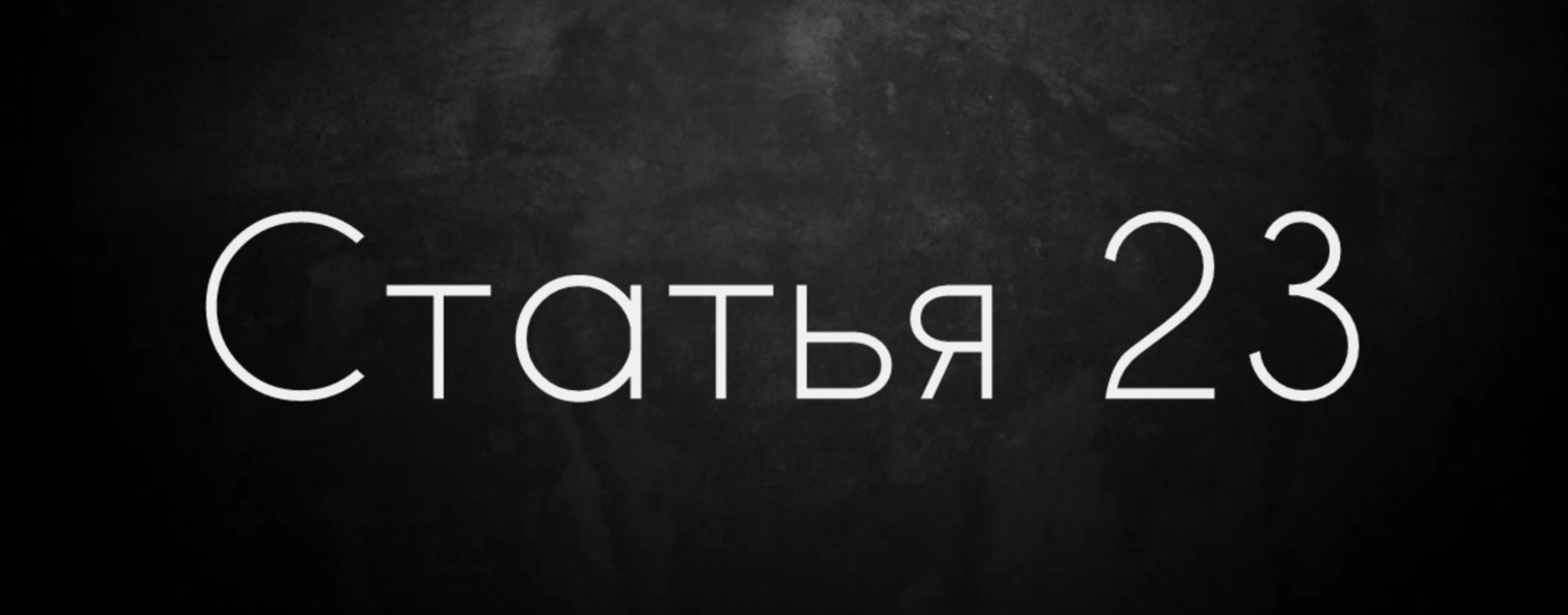 Статья 23