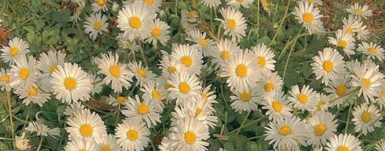 Ne idealno math | Репетитор Елена