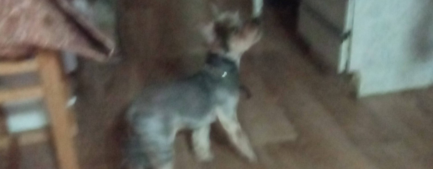 Творчество и игры и природа и приколы