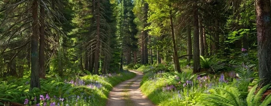 Смирнова Вера