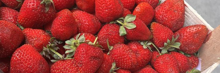 Сергей Алюшков