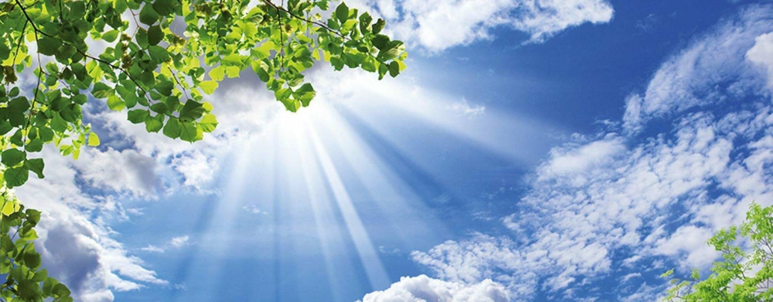 Павленкова Екатерина