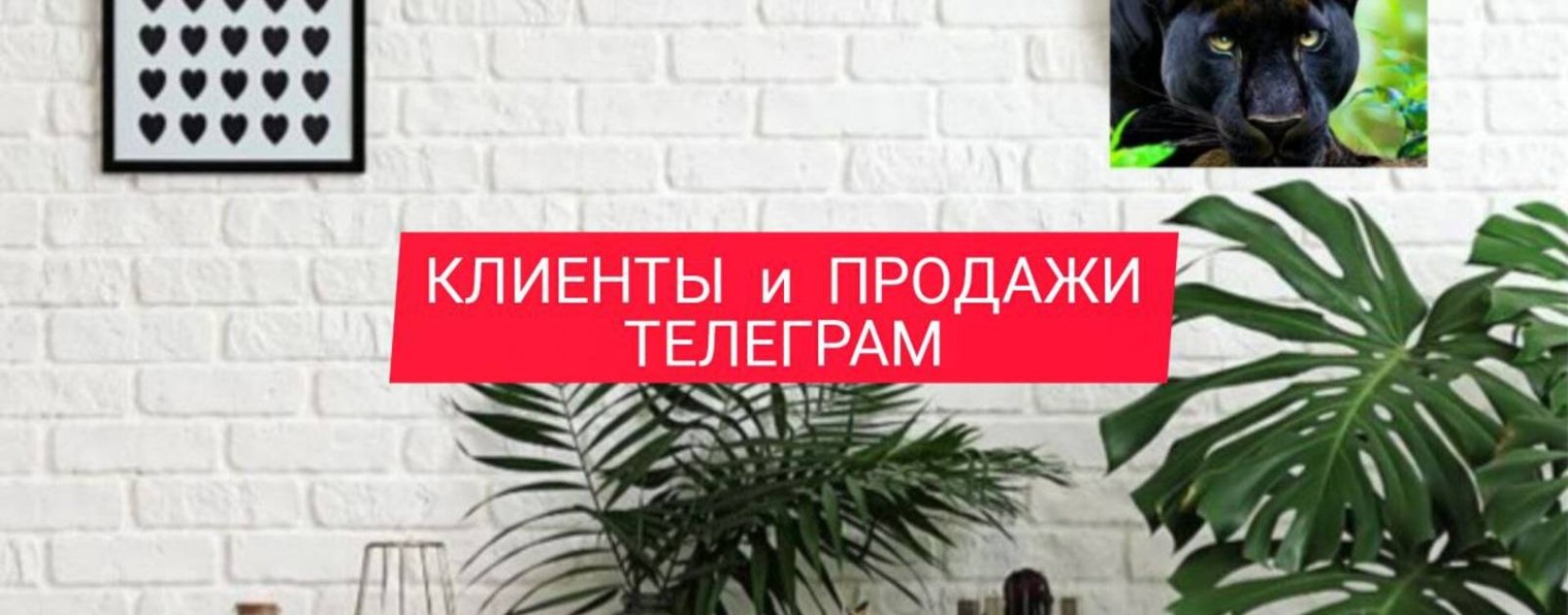 КЛИЕНТЫ И ПРОДАЖИ ТЕЛЕГРАМ