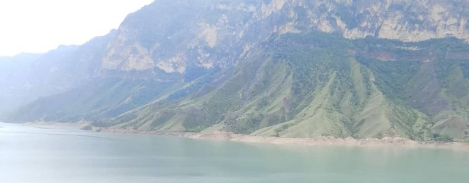 Ольга Регресс